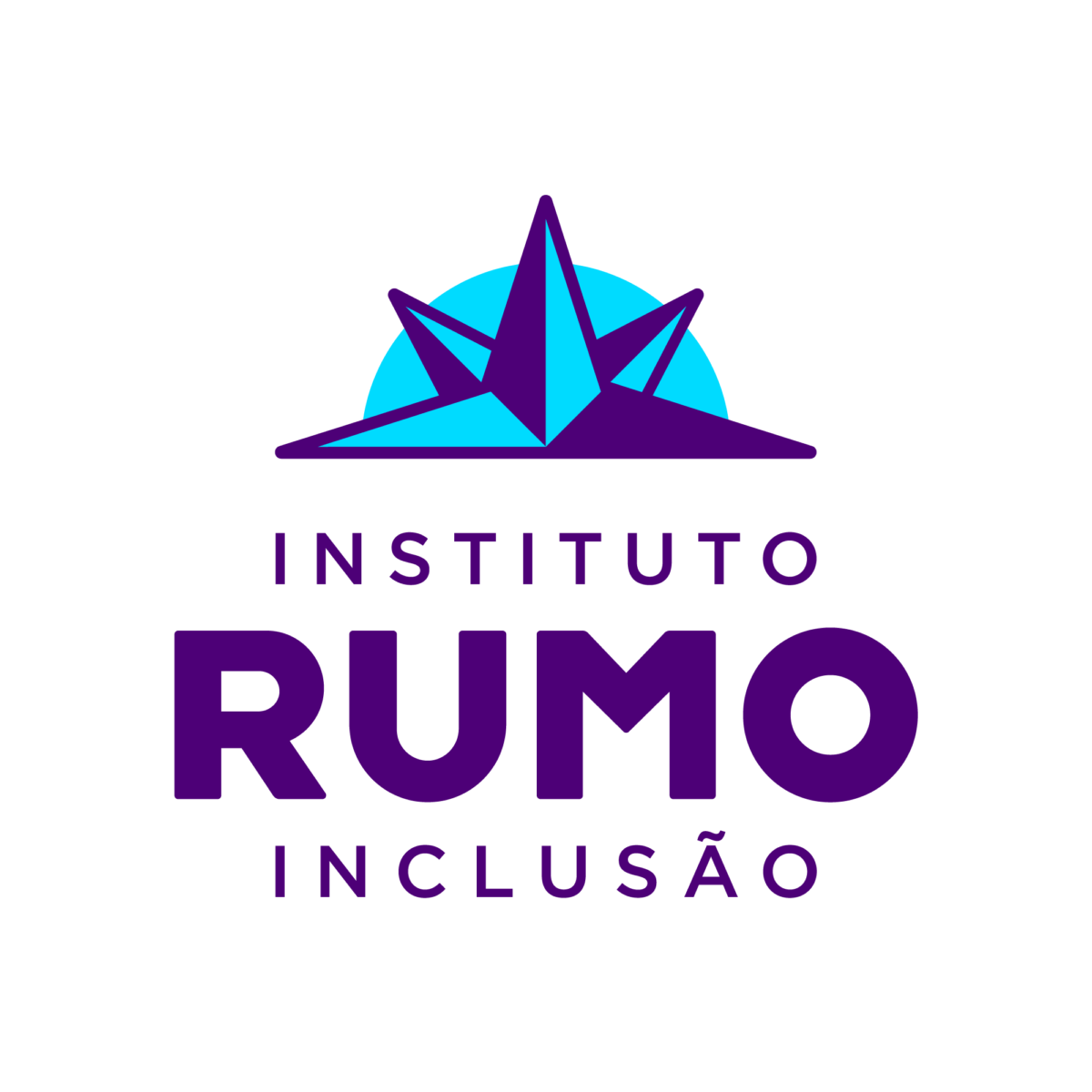 Instituto Rumo Inclusão – Garantir o direito ao trabalho para todas as ...